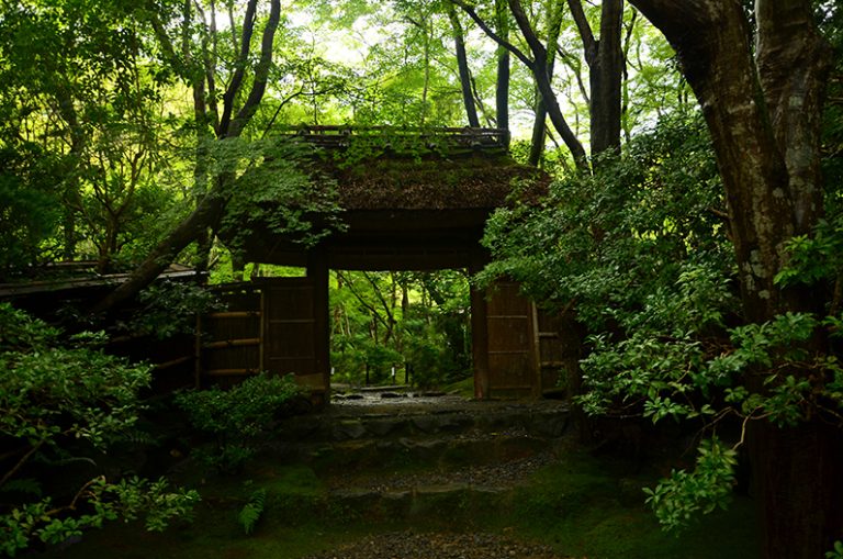 CollectiKult - Gio-ji Temple, the Green Haven of Kyoto