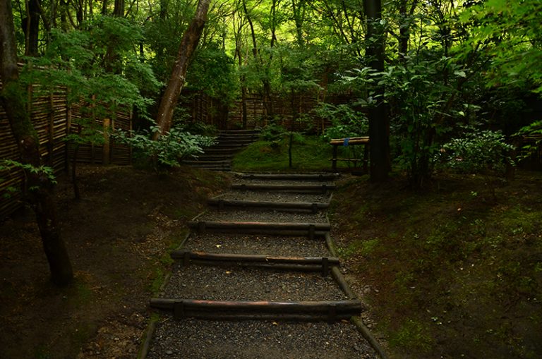 CollectiKult - Gio-ji Temple, the Green Haven of Kyoto